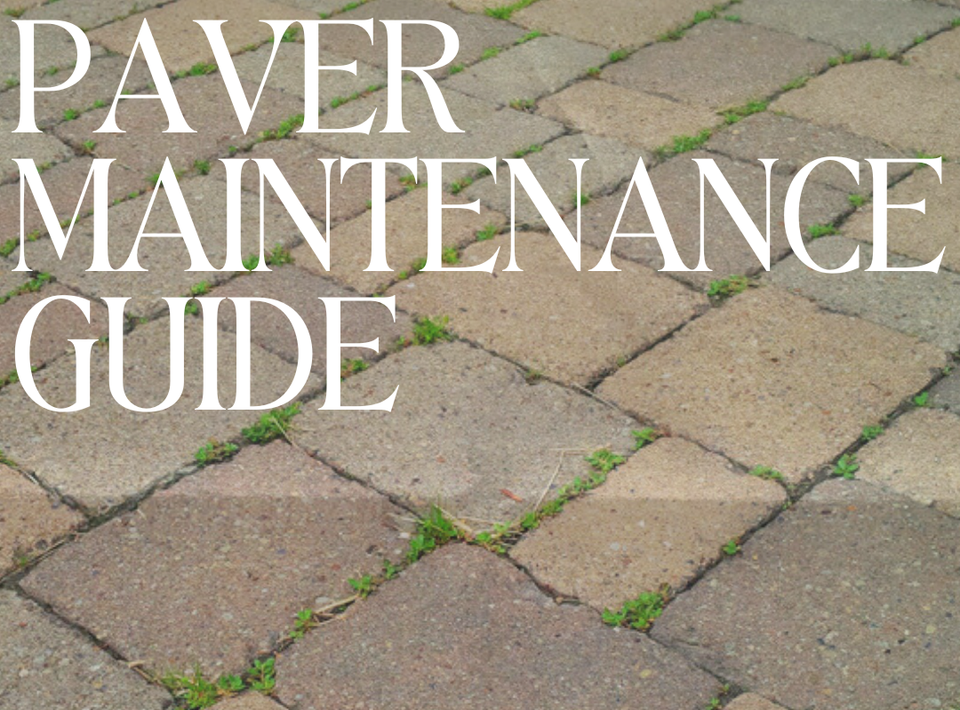 How To Maintain Your Pavers: Expert Tips From VelMurugan Pavers & Blocks - Velmurugan Paver Blocks